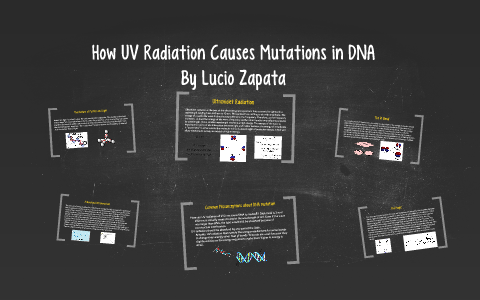 Why UV Radiation Causes Mutations in DNA by on Prezi