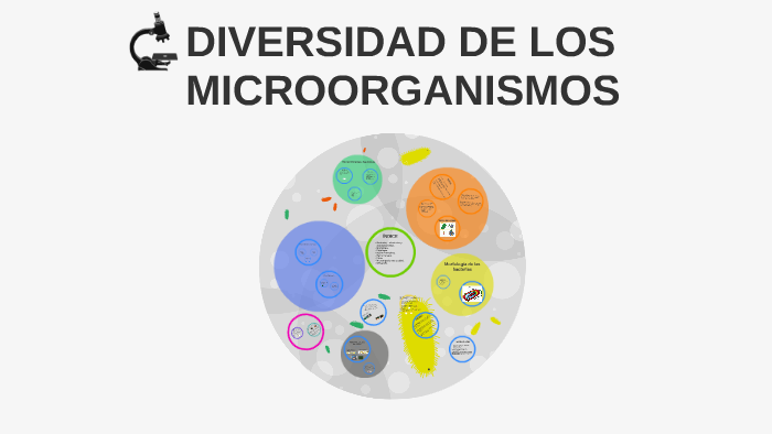 La Diversidad De Los Microorganismos Y Su Importancia Porn Sex Picture