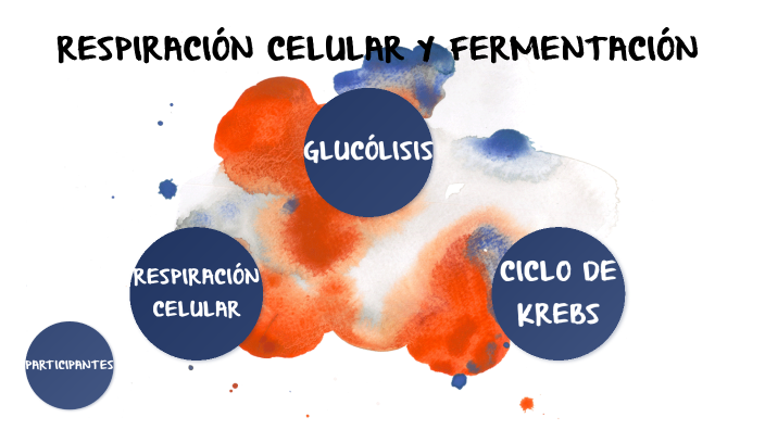Respiración celular y fermentación by Edwin Gallegos Ramirez on Prezi