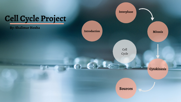 Cell Cycle Project by Shalimar Hoxha on Prezi