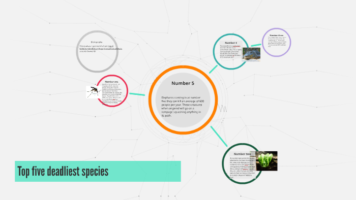 Top ten accidental inventions by Julian Moore