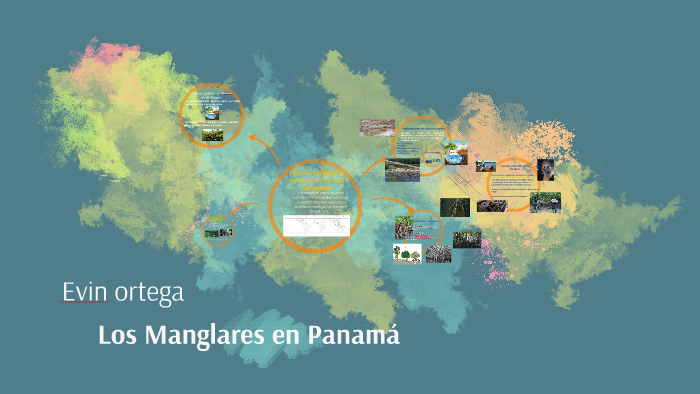 Los Manglares en Panama by Evin Ortega Avecilla on Prezi