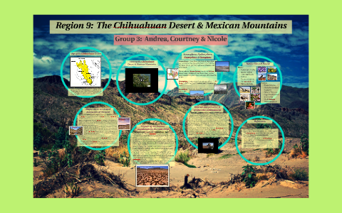 Region 9: The Chihuahuan Desert & Mexican Mountains by Nicole Pompa on ...