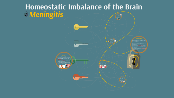 Homeostatic Imbalance of the Brain by Ashley Hanst on Prezi