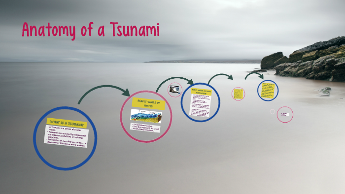 Anatomy of a Tsunami by Shania Ridgley on Prezi