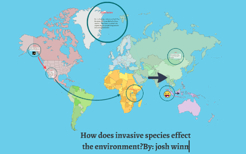 How does invasive species effect the environment by charlotte gordon on ...