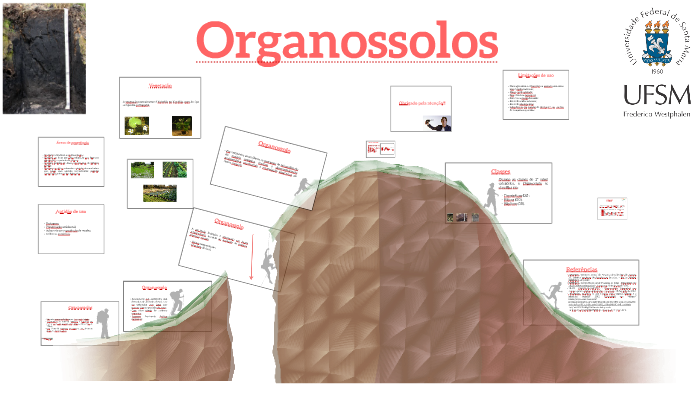 Organossolo by Renato Santos on Prezi