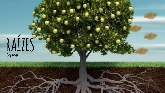 RAÍZES by Isabelle Brenner on Prezi