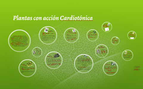 Plantas con efecto Cardiotónico... by Gaby Garcia on Prezi
