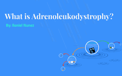 What is Adrenoleukodystrophy? by Lani Nuñez on Prezi