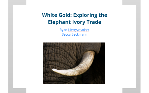 Ivory Trade Conflict Map by Ryan Merryweather on Prezi