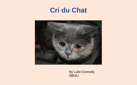 Cri du Chat by tyjythgegte55g adscdvdg on Prezi