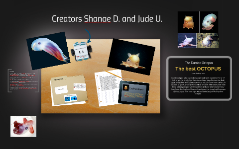 The Dumbo Octopus by Shanae Dingle on Prezi