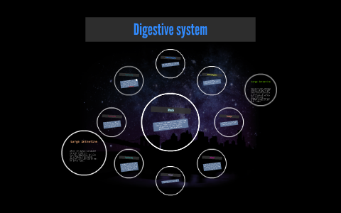 Digestive system by Maleah Screen on Prezi