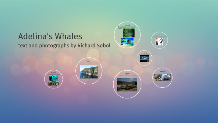 4th Grade - 3.2 Adelina's Whales by Caroline Leung on Prezi