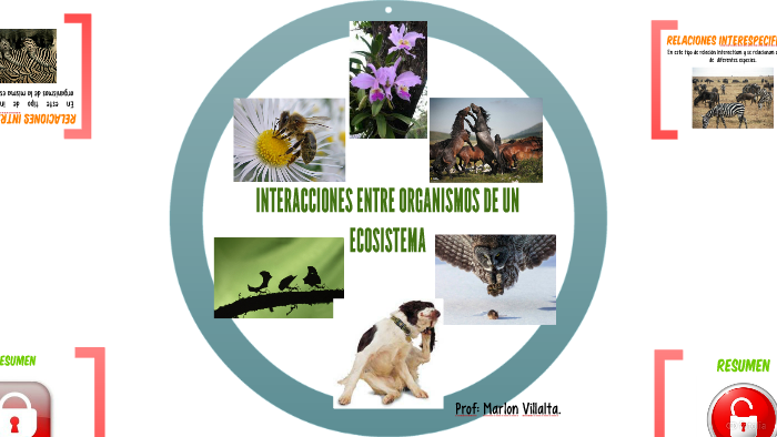 RELACIONES SIMBIOTICAS Y ANTAGONICAS by marlon villalta gamboa on Prezi