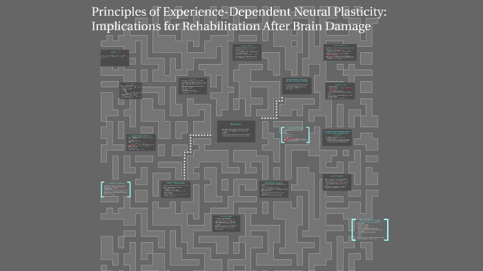 Principles of Experience-Dependent Neural Plasticity: Implic by on Prezi