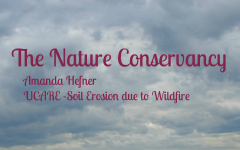 TNC Soil Erosion Research by Amanda Hefner