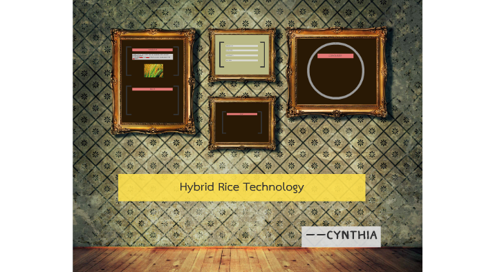 Hybrid Rice Technology by XIAOJUN LU on Prezi