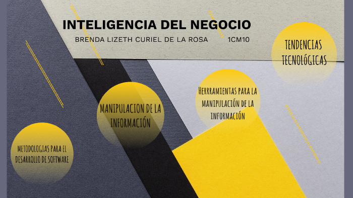 Inteligencia de negocios by Brenda Curiel on Prezi