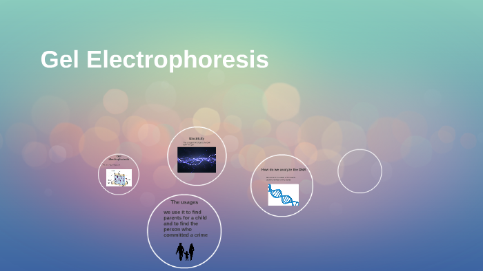 Gel Electrophoresis by Brandon Cosenza