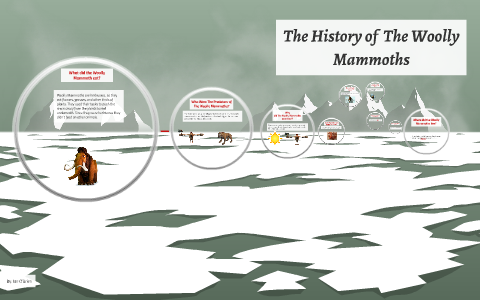 The History Woolly Mammoth by beachboymbfl beachboymbfl on Prezi