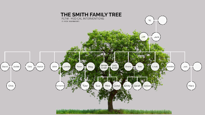 PLTW: Medical Interventions- Smith Family Tree by Oluchi Nwankwo on Prezi