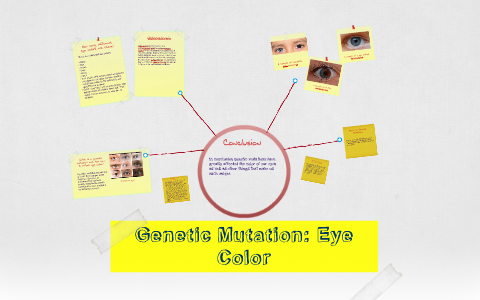 Genetic Mutation:Eye Color by Francesca U on Prezi
