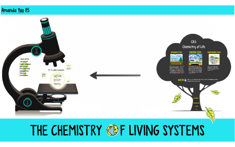 The Chemistry of Living Systems by Amanda Yao on Prezi