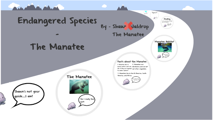 Endangered Species - Manatee by Shawn Waldrop on Prezi