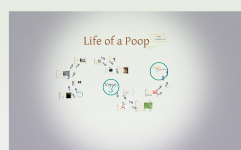 Life of a Poop by Ru Chen on Prezi