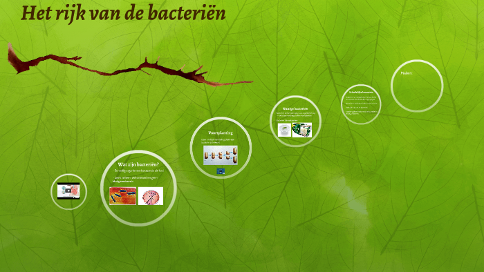 Het rijk van de bacterien by Marjolein de Graaf on Prezi