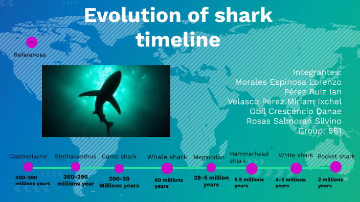 Evolution of the shark by Lorenzo Morales Espinosa on Prezi