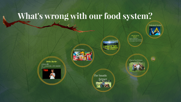 What's wrong with our food system? by Allison Avendaño on Prezi