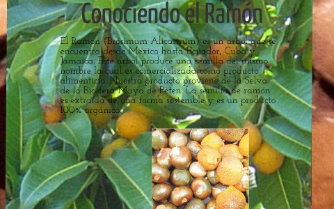 Harina de Ramon by Sebastian De la Hoz on Prezi