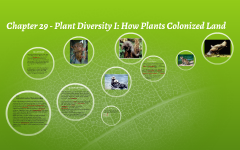 Chapter 29 - Plant Diversity I: How Plants Colonized Land by Jared ...