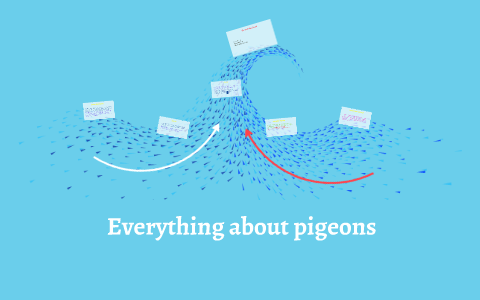 Everything about pigeons by Lindsey Stultz on Prezi