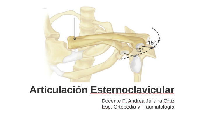 Articulación Esternoclavicular