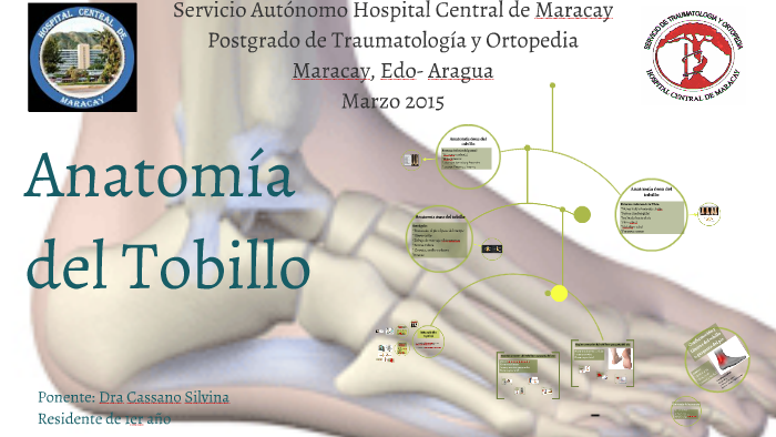 Anatomía del tobillo by Anivlis Onassac on Prezi