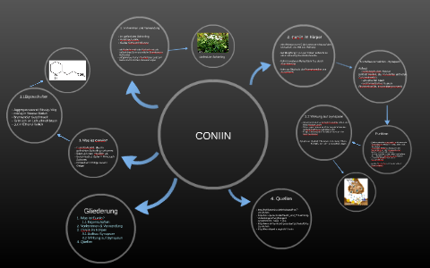 CONIIN by Annica Jeschke on Prezi