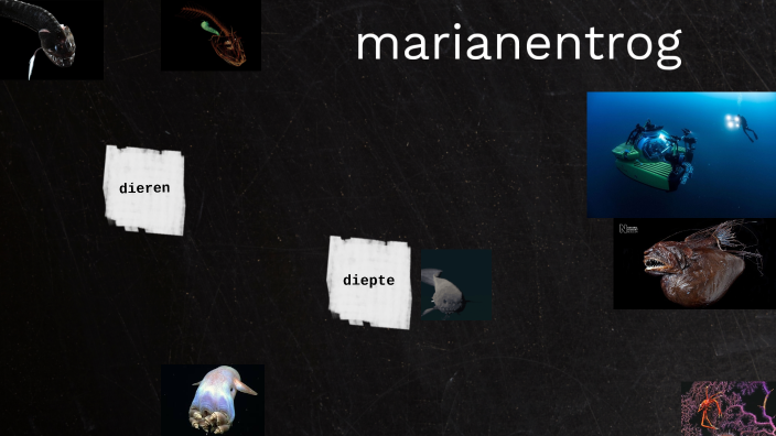 marianentrog by Antonio Samardzic on Prezi