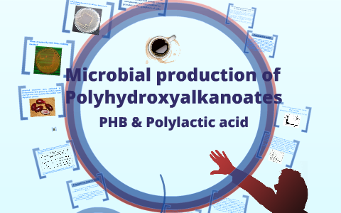 Microbial production of polyhydroxy alkanoates (PHA) , polylactic acid ...