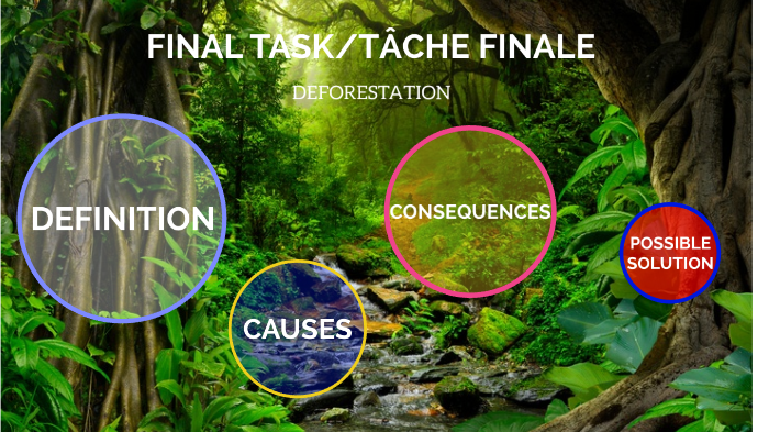 Tache Finale Anglais by lucas vitorino on Prezi