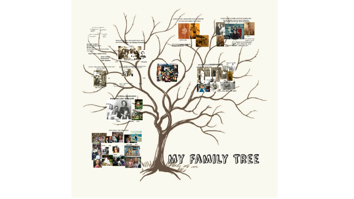My Family Tree by Lauren Fitzsimmons on Prezi