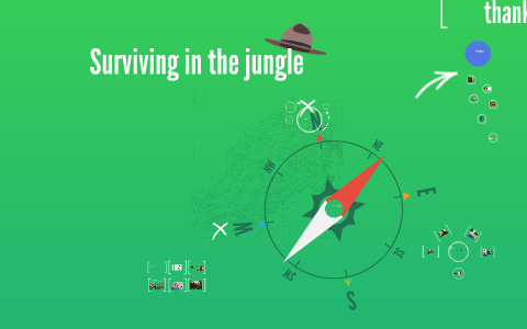 Surviving in the jungle by on Prezi