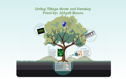 Living Things Grow and Develop by Sarah Boggia on Prezi