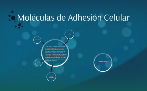 Moléculas de Adhesión Celular by on Prezi