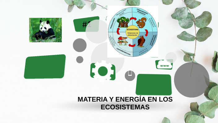 flujo de materia y energía en el ecosistema by maryulis alvarado arrieta