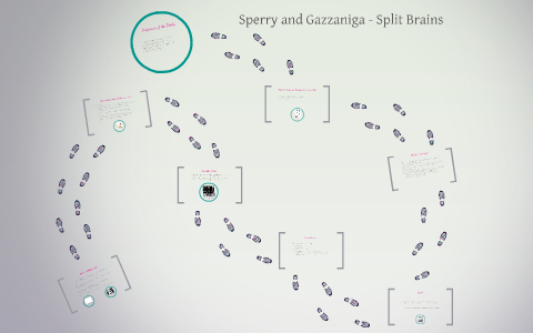Sperry and Gazzaniga - Split Brains by Jessica Arellano on Prezi