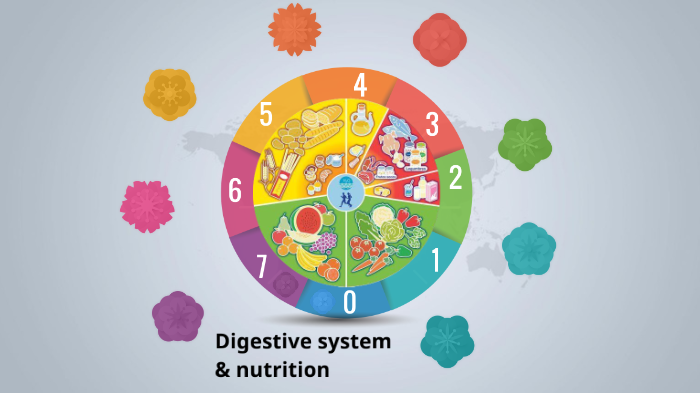 Digestive system & nutrition by alejandra garrido on Prezi